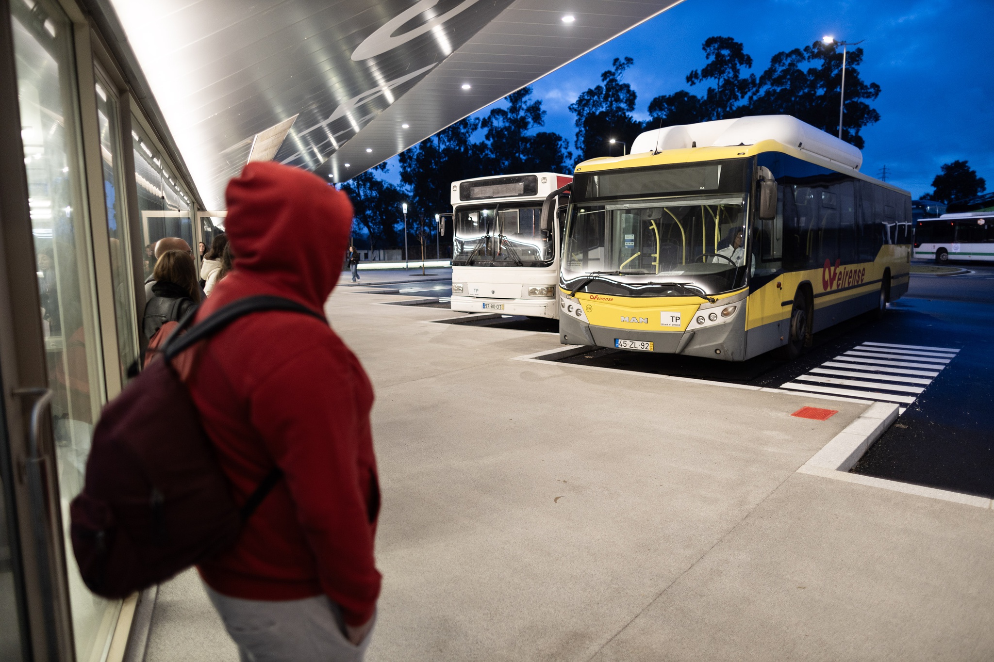 Classificada como de interesse público "maior e mais antiga" magnolia ...